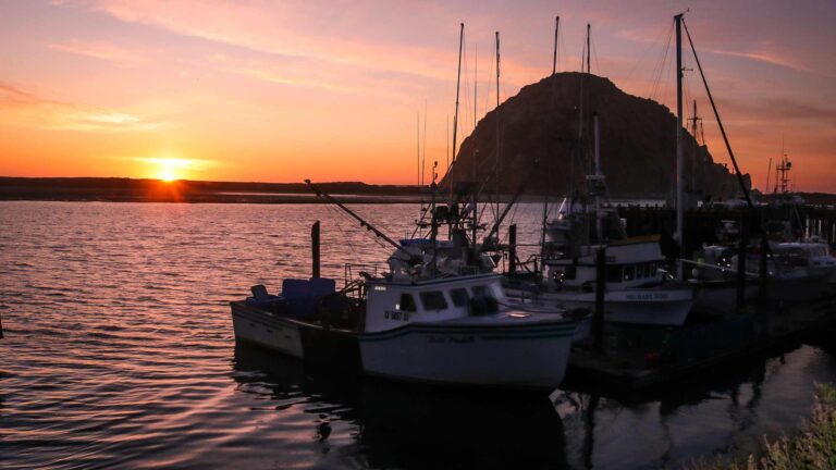34 Best Things To Do In Morro Bay In California