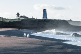 25 Awesome Things To Do In San Simeon, the Little Hamlet on The Coast