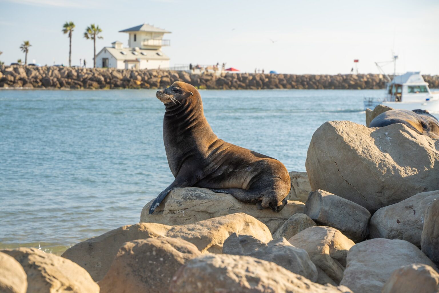 25 Amazing Things To Do In Oxnard In Southern California
