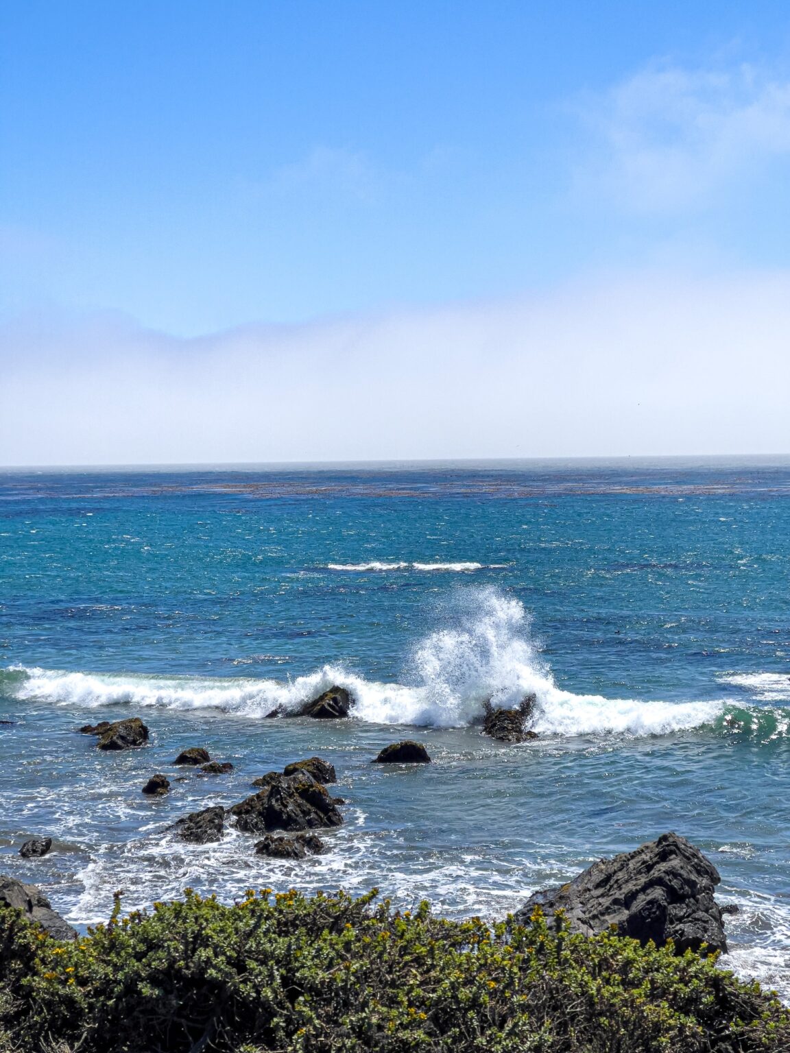19 Beautiful Beaches In Monterey You Should Visit