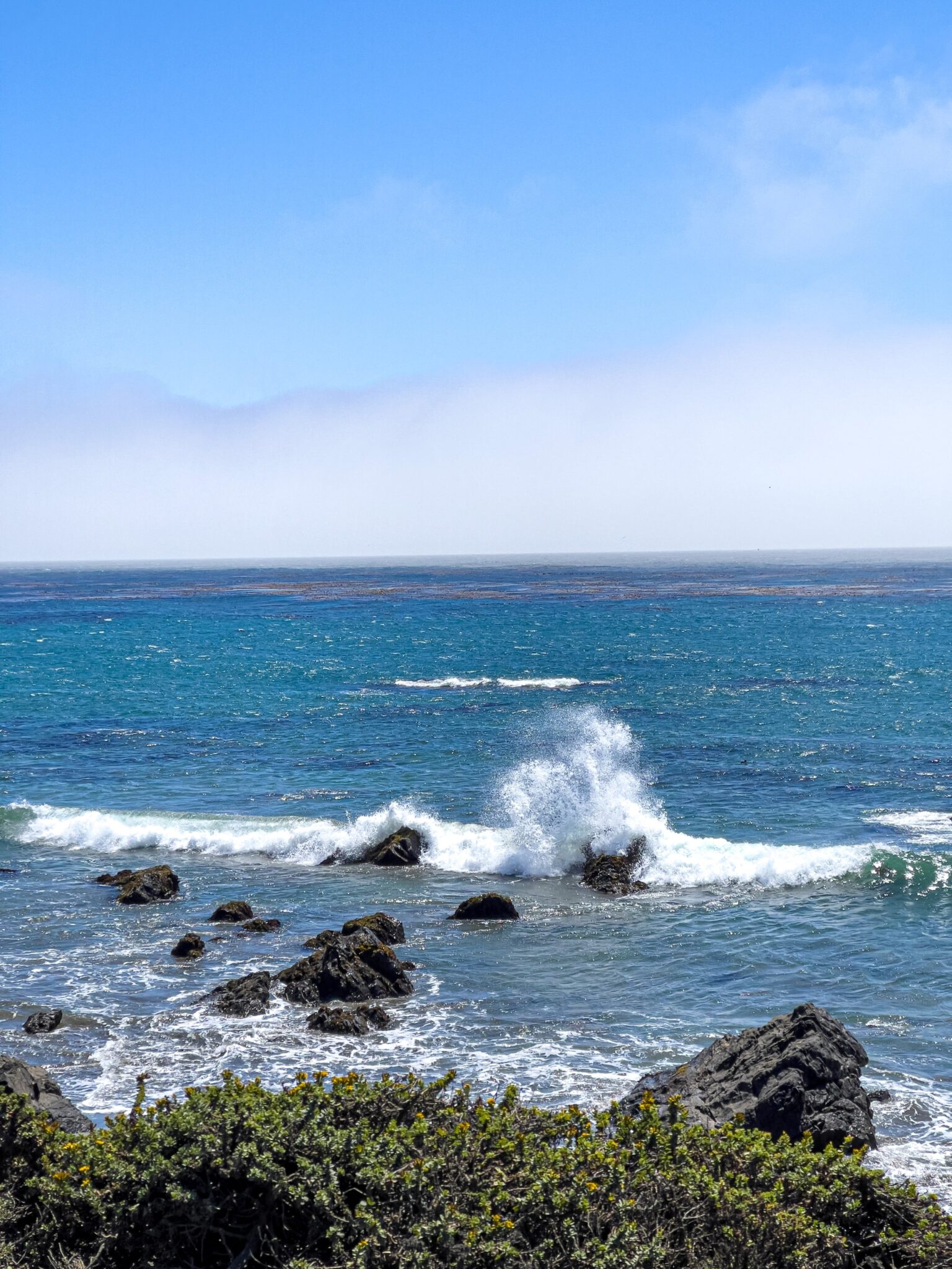 19 Beautiful Beaches In Monterey You Should Visit