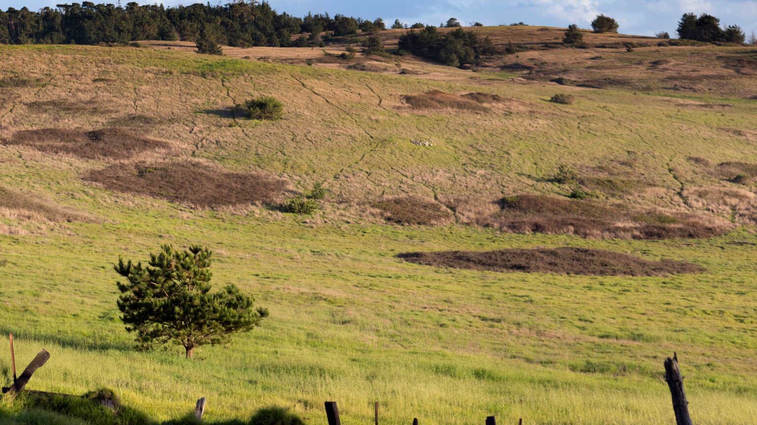 25 Best Things To Do In Cambria In Central California