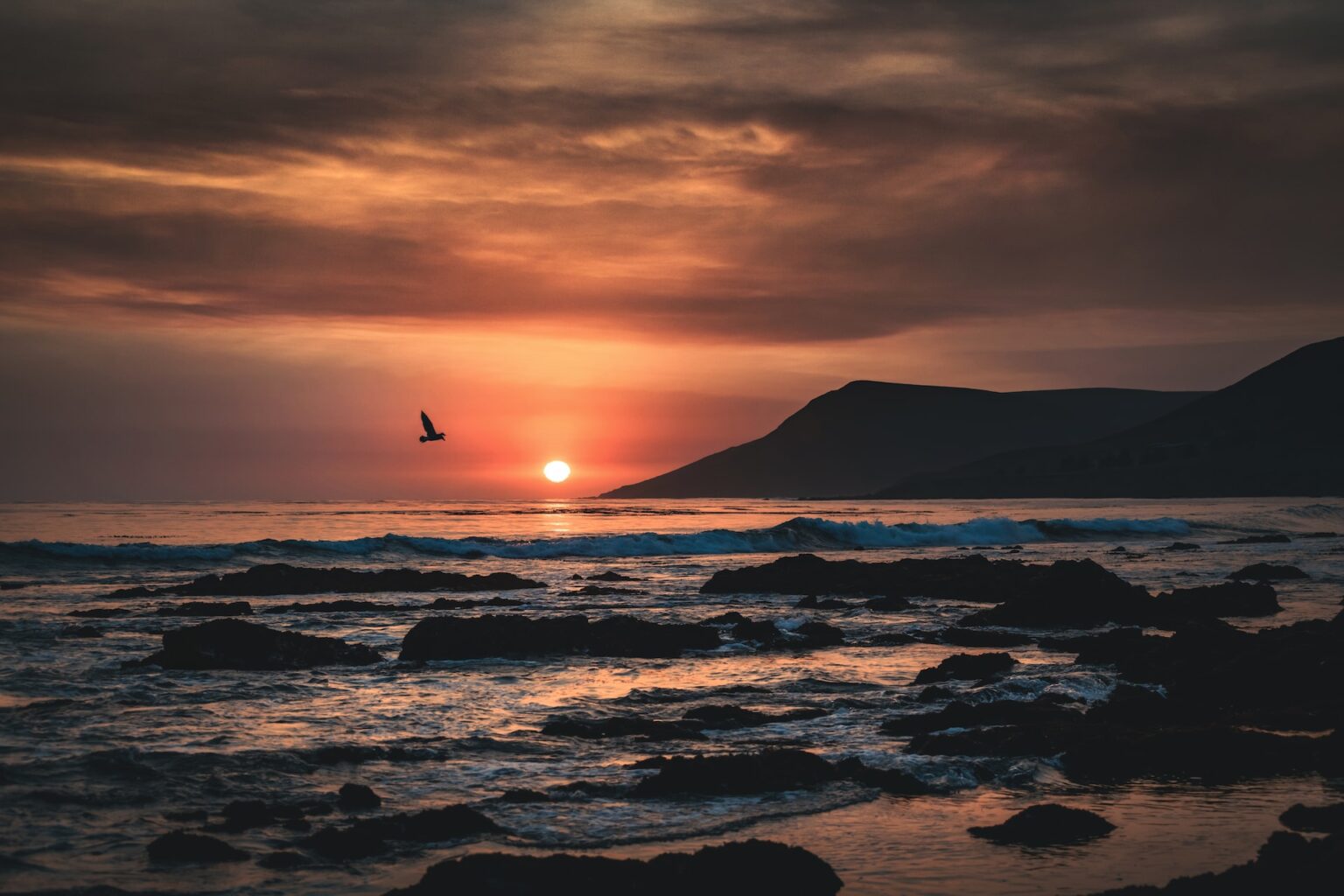 20 Awesome Things To Do In Cayucos For a Fun Getaway With Kids