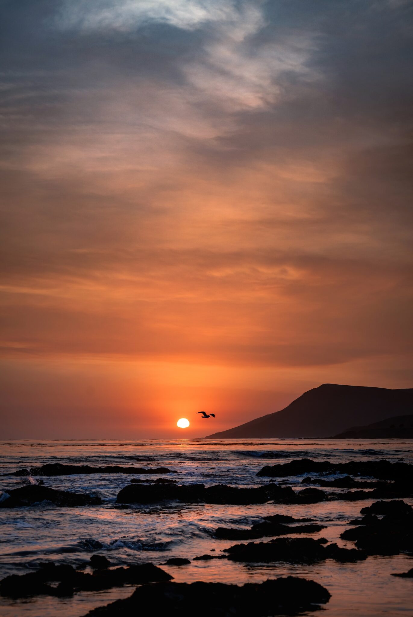 20 Awesome Things To Do In Cayucos For a Fun Getaway With Kids