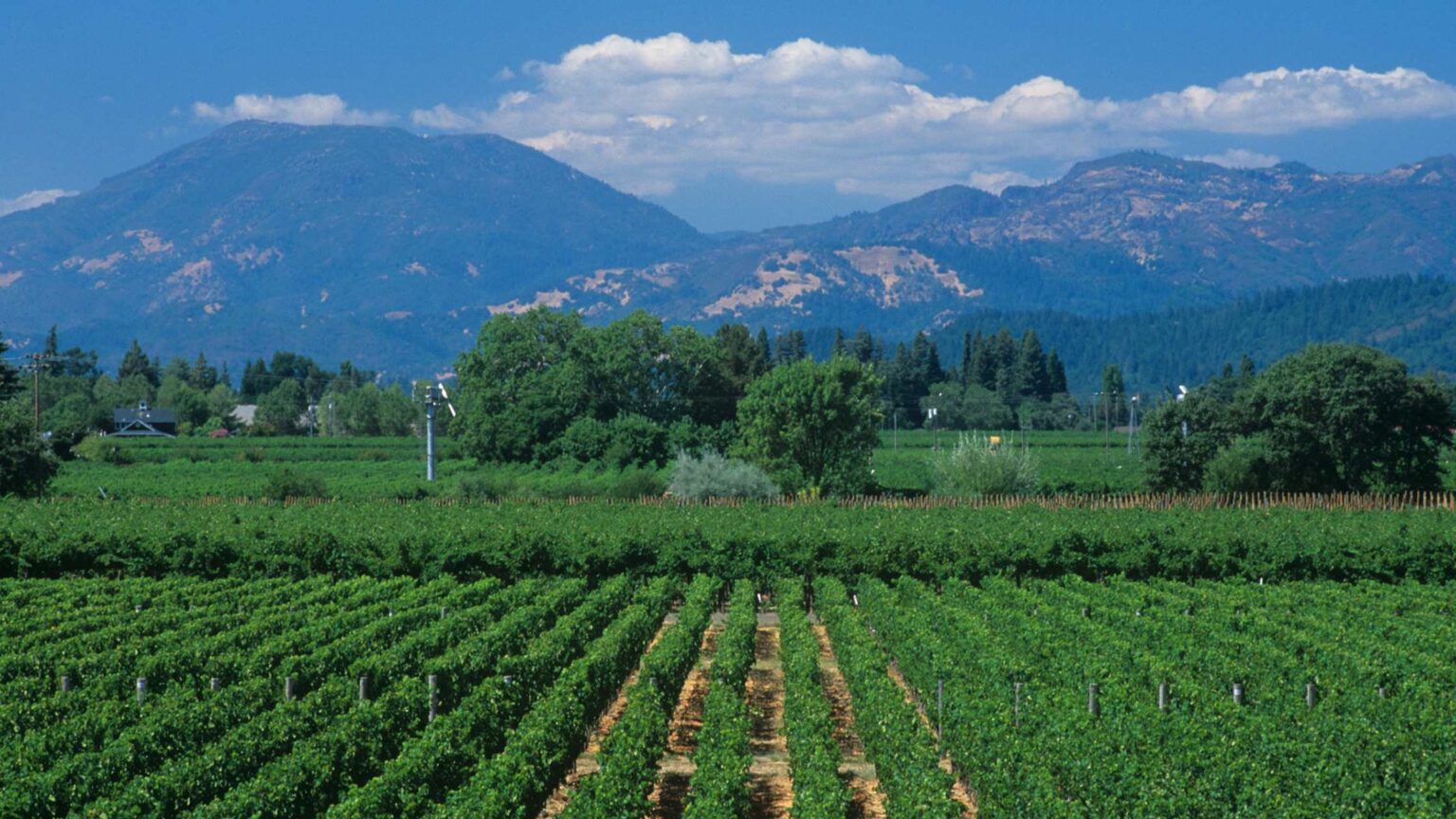 27 Fabulous Things To Do In Calistoga In California