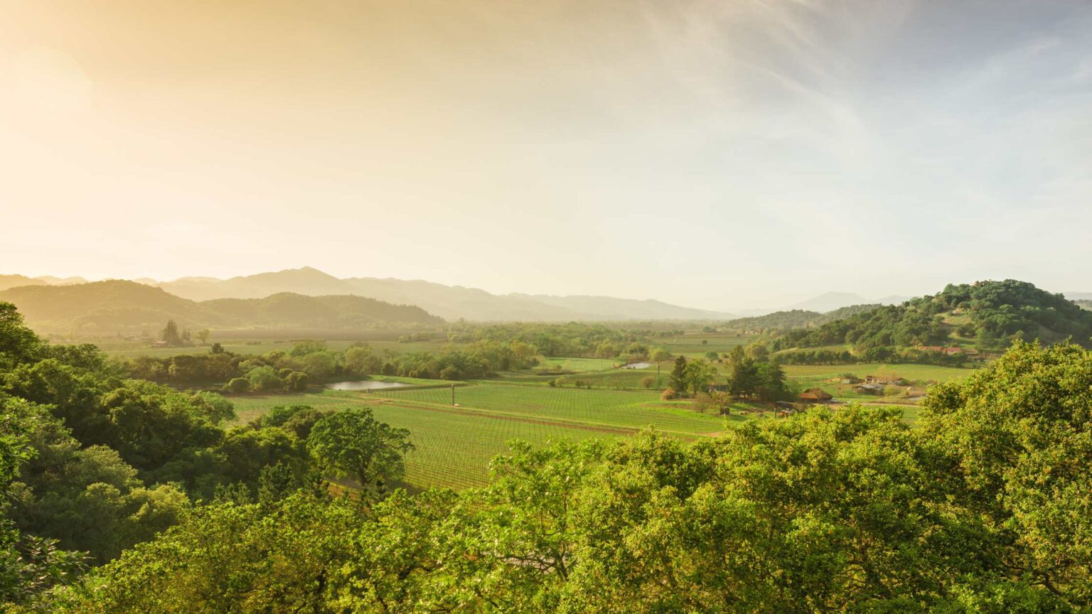 32 Fantastic Day Trips In Northern California For a Weekend Getaway