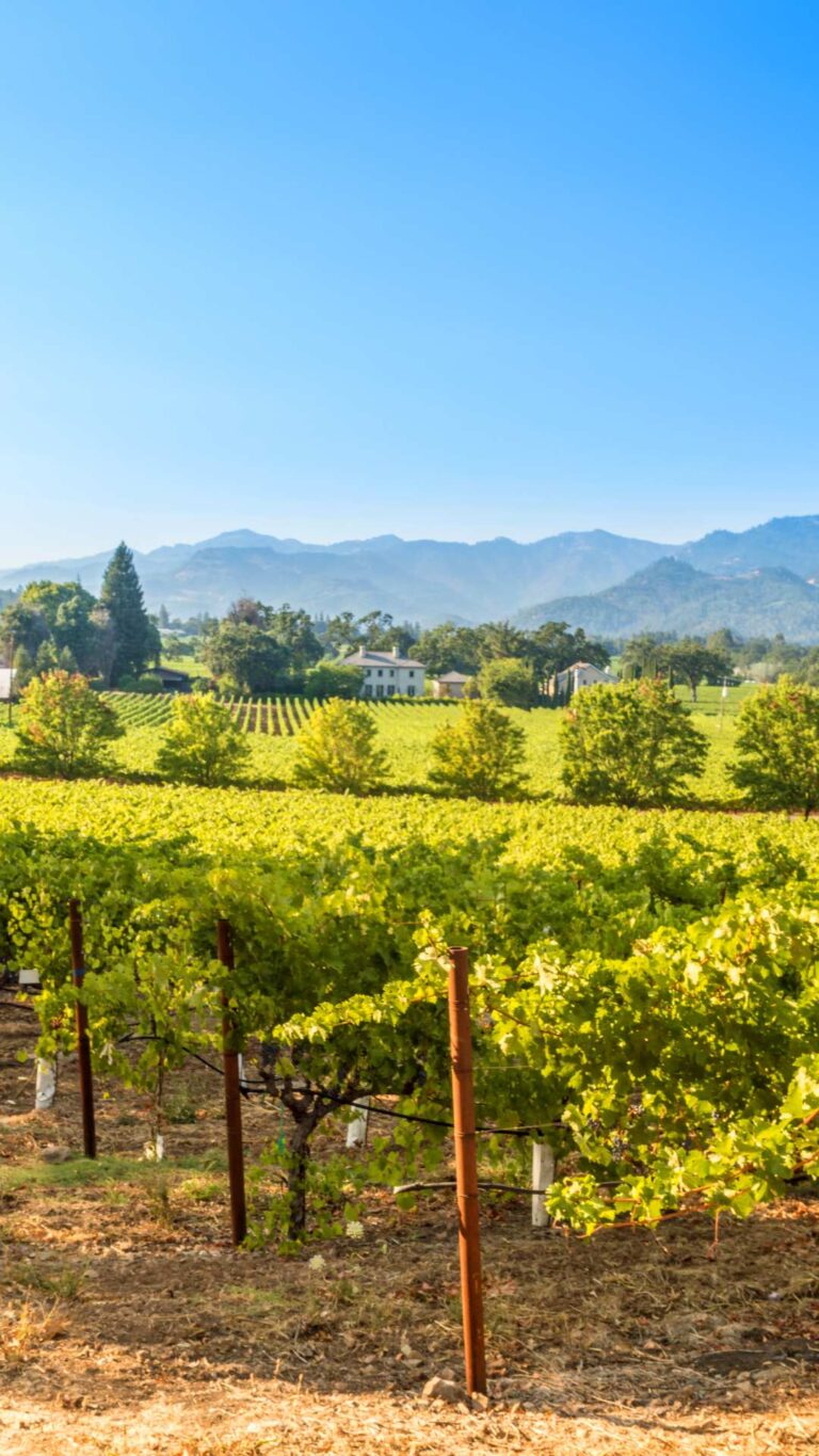 27 Fabulous Things To Do In Calistoga In California