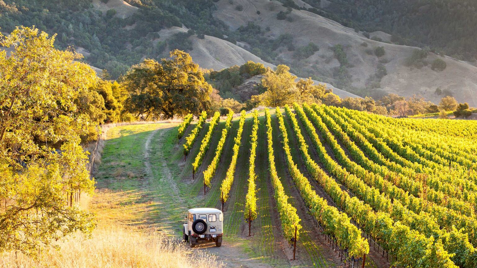28 Awesome Things To Do In Healdsburg In California