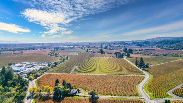 28 Awesome Things To Do In Healdsburg In California