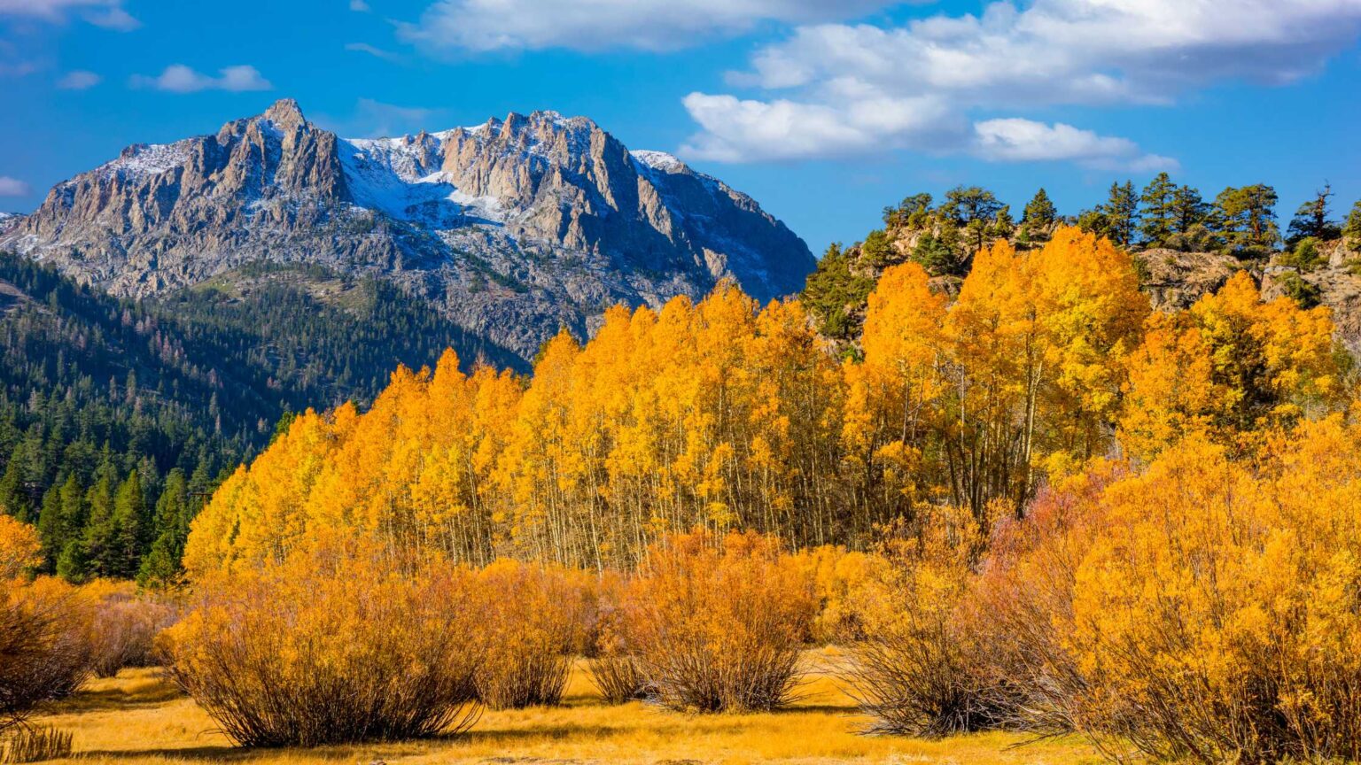 19 Awesome Things To Do In June Lake In California