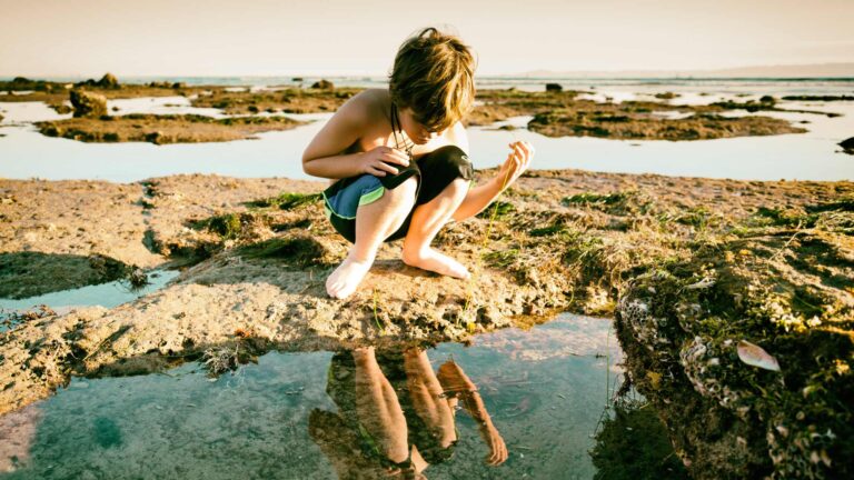 19 Beautiful Beaches In Monterey You Should Visit