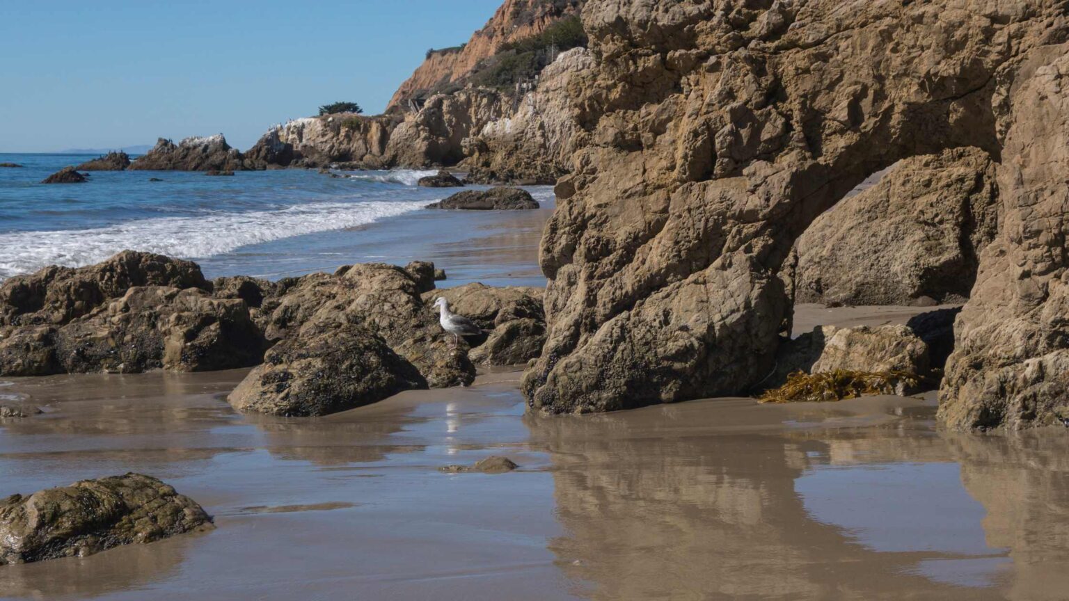 30 Beautiful California Tide Pools You Should Visit