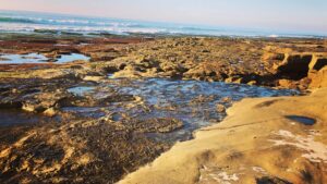 30 Beautiful California Tide Pools You Should Visit