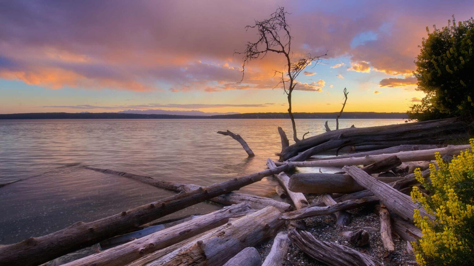 30 Beautiful California Tide Pools You Should Visit