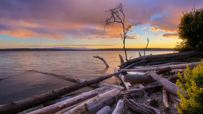 30 Beautiful California Tide Pools You Should Visit