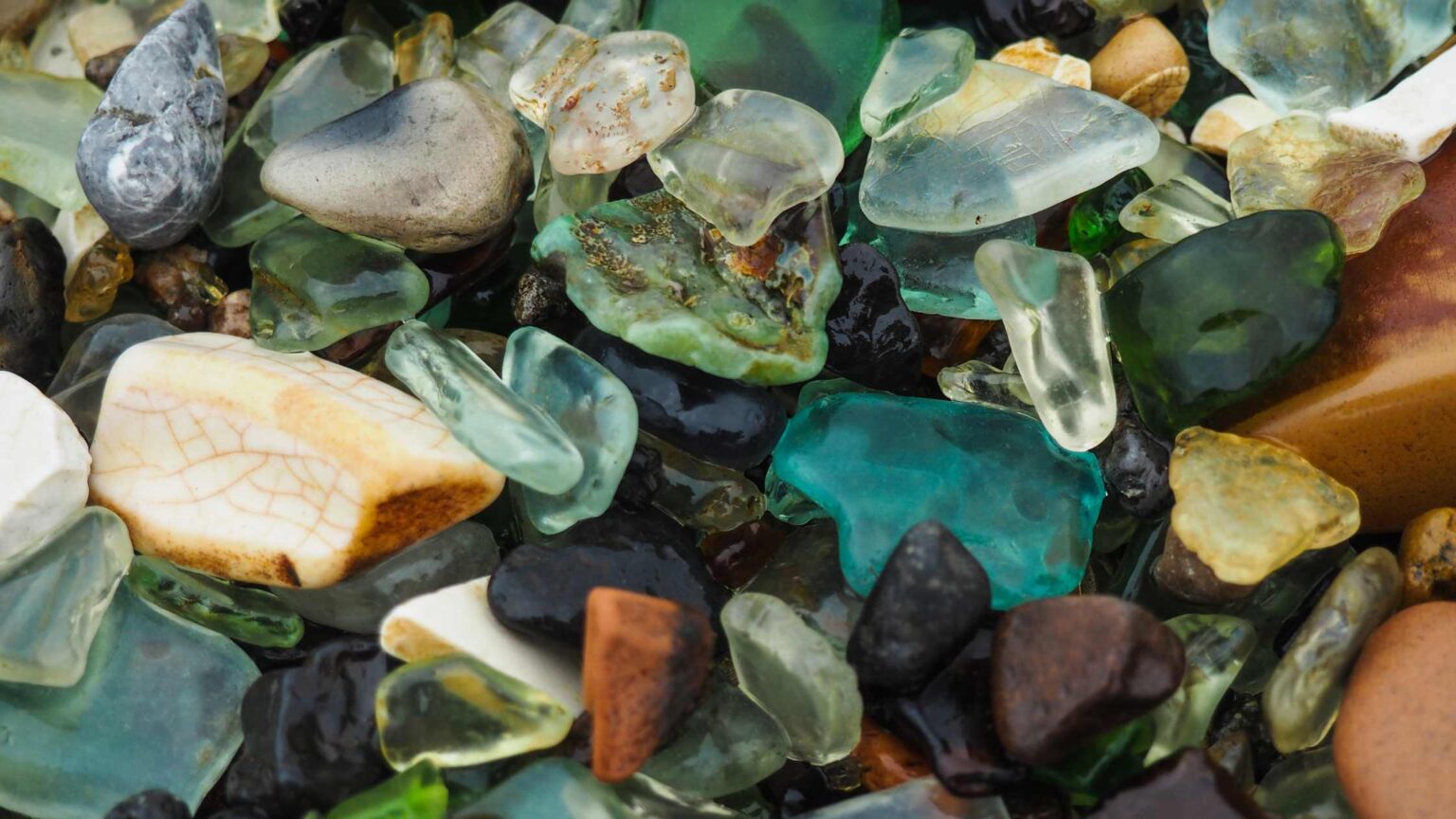 30 Beautiful California Tide Pools You Should Visit