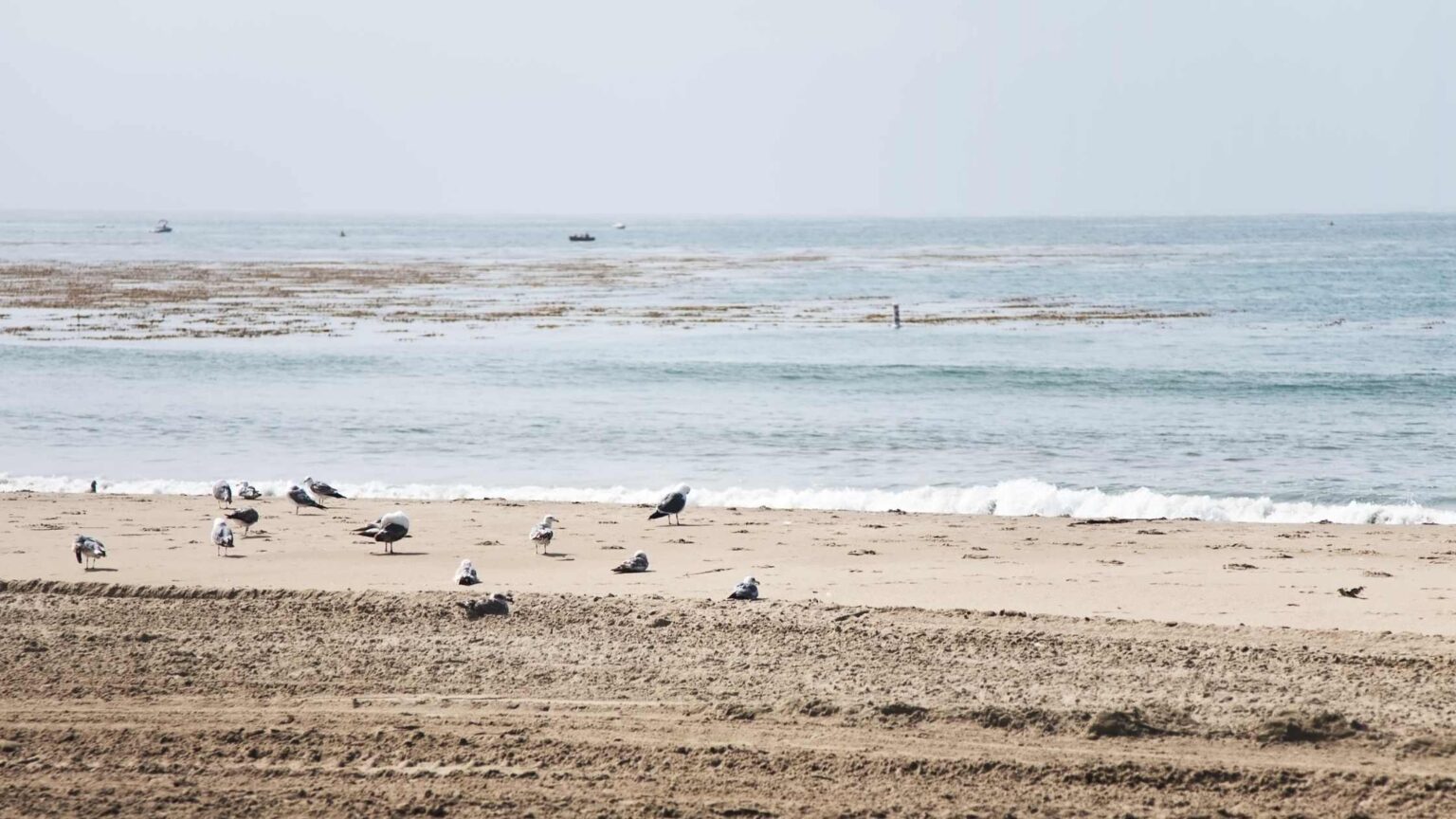 30 Beautiful California Tide Pools You Should Visit