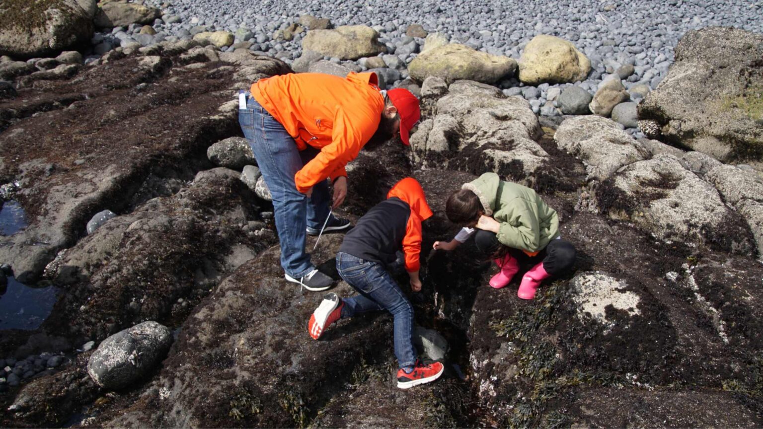 30 Beautiful California Tide Pools You Should Visit