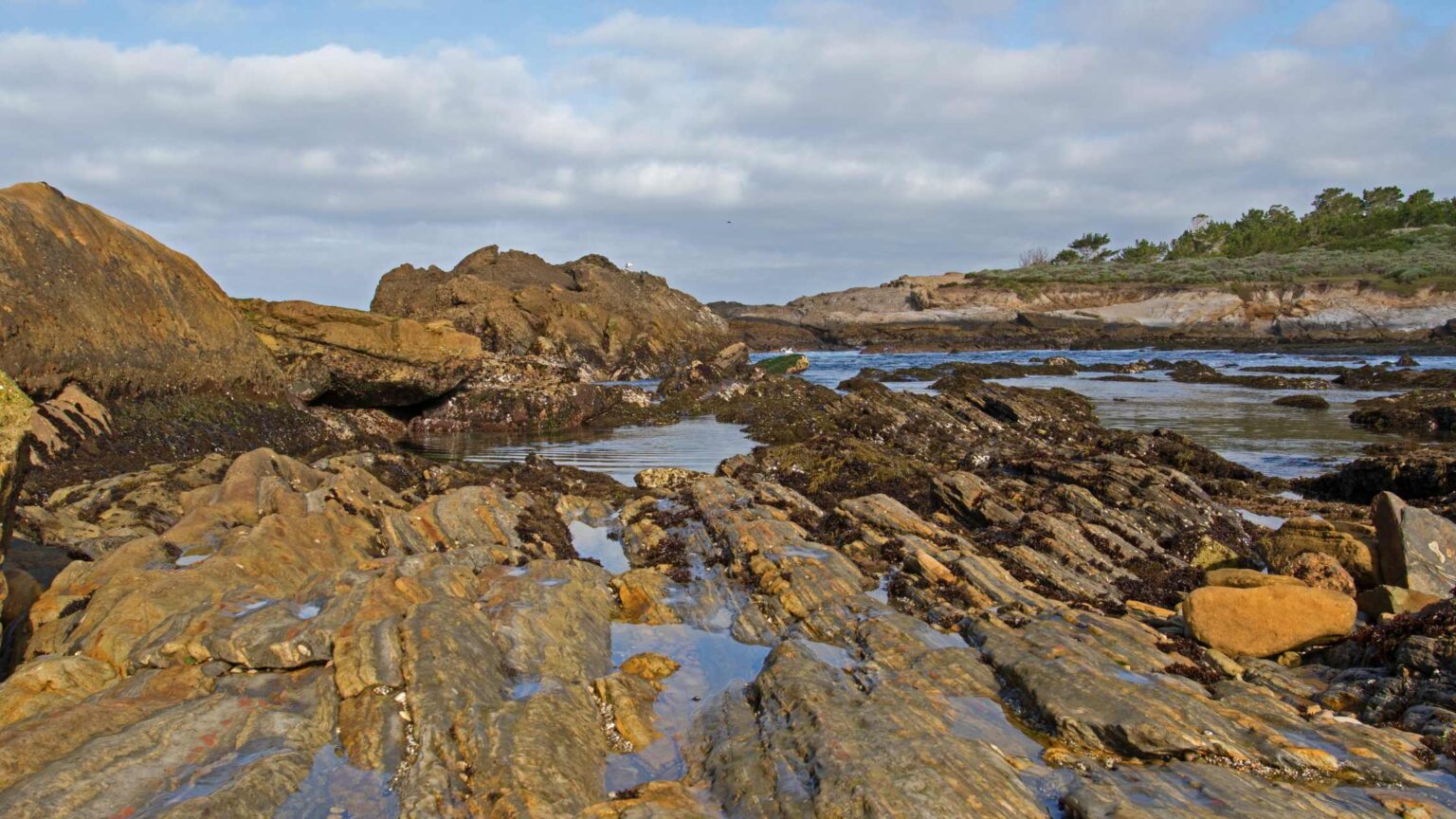 30 Beautiful California Tide Pools You Should Visit