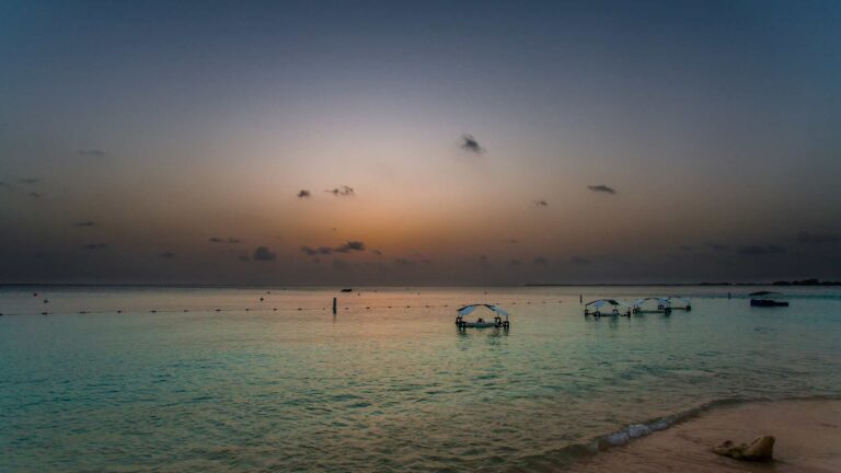 14 Best Caves In Northern California You Should Visit