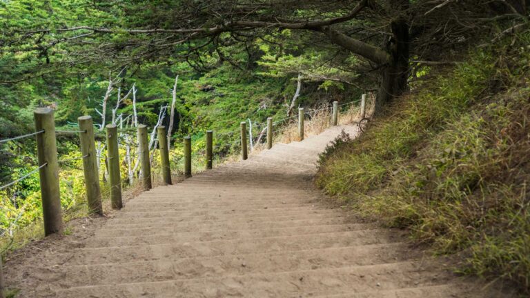21 Best Hikes In Northern California For Spectacular Views