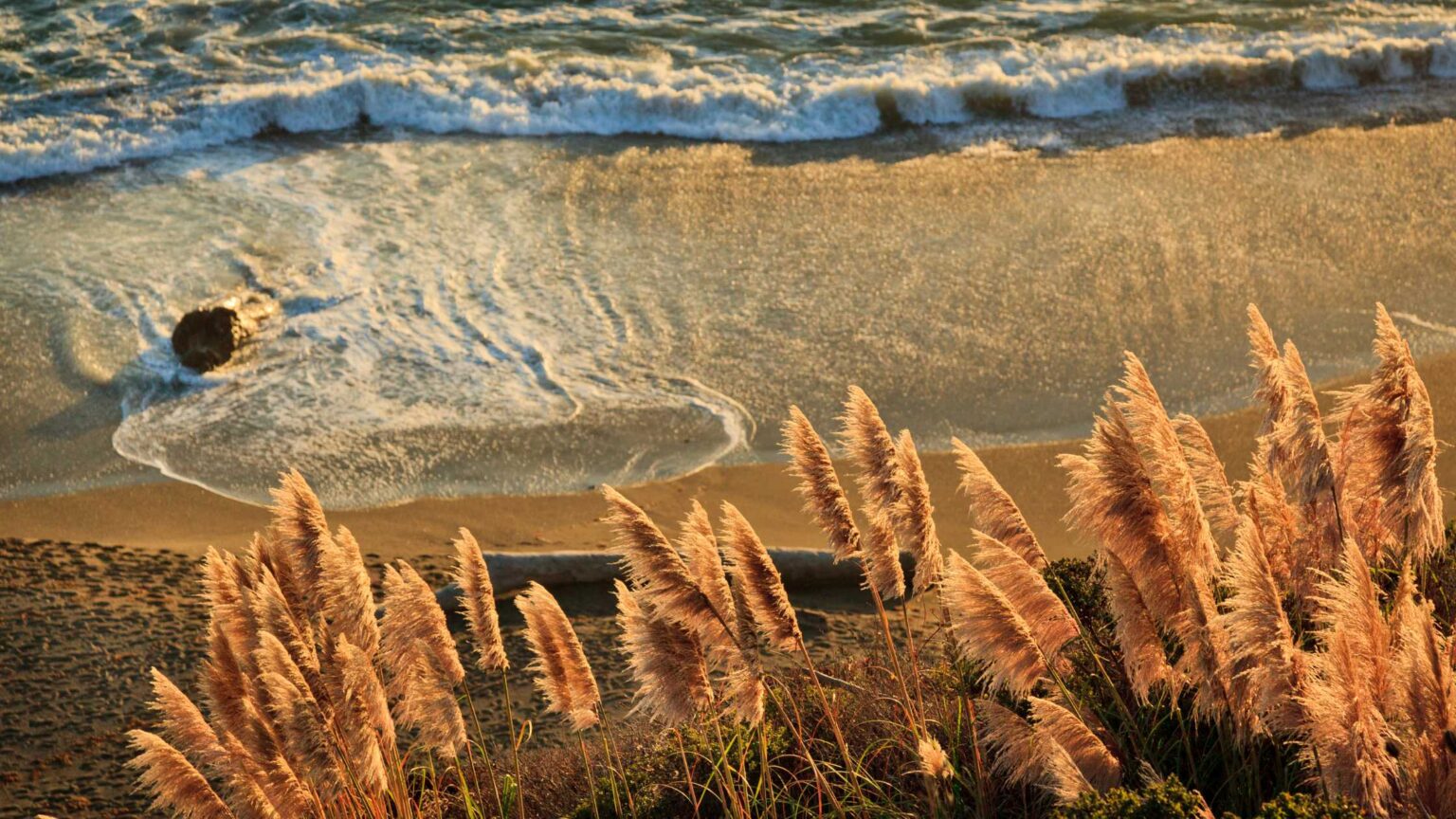 21 Best Hikes In Northern California For Spectacular Views