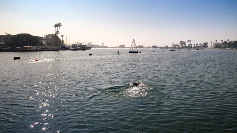 13 Best Beaches In Long Beach For a Fun Day In Sand And Sea