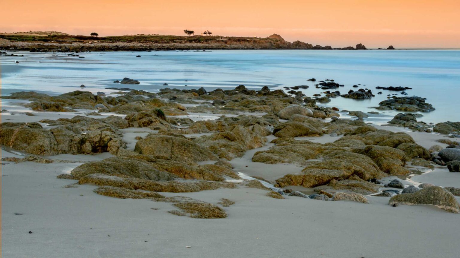 13 Best Beaches In Long Beach For a Fun Day In Sand And Sea