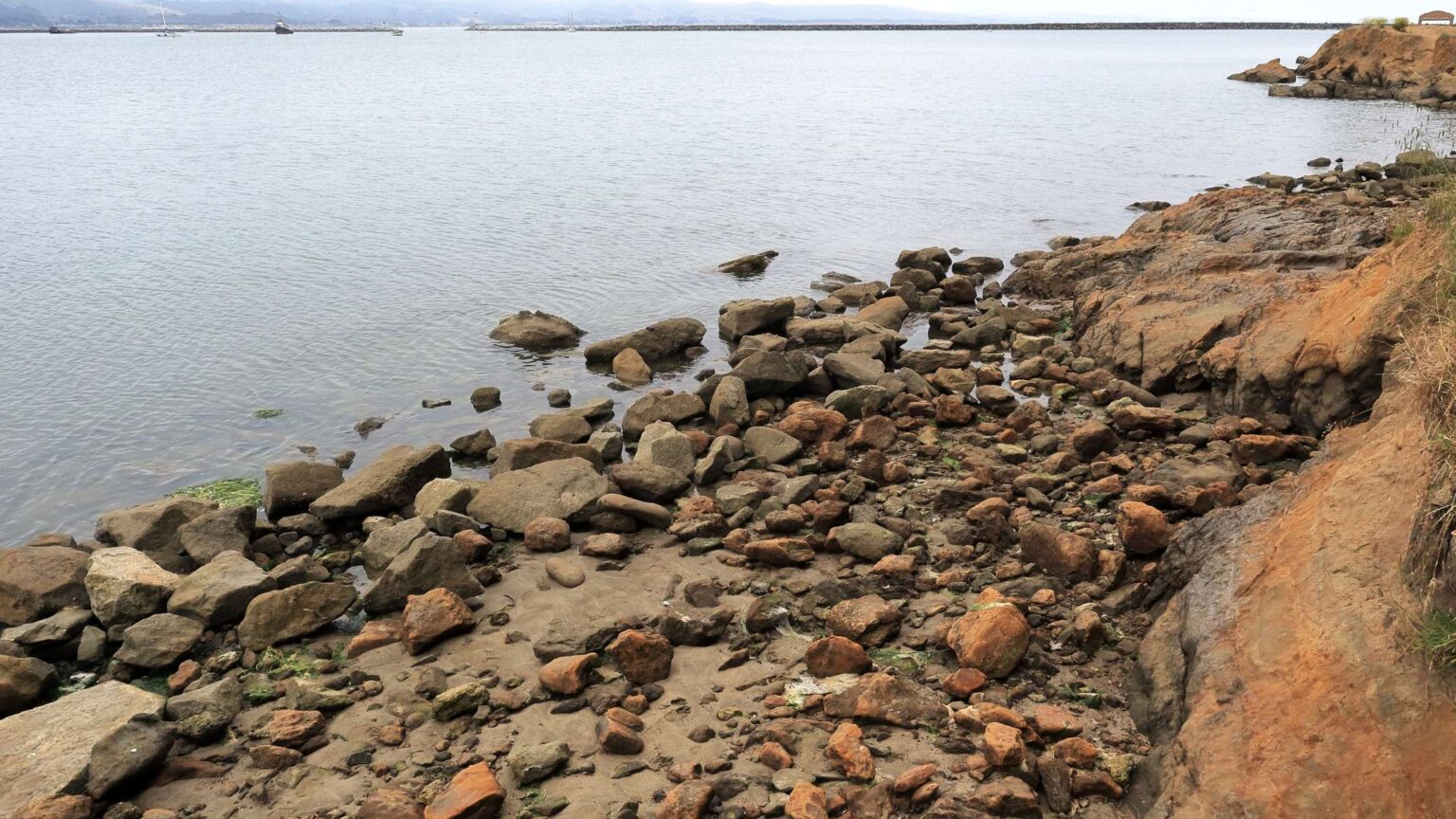 13 Best Beaches In Long Beach For a Fun Day In Sand And Sea