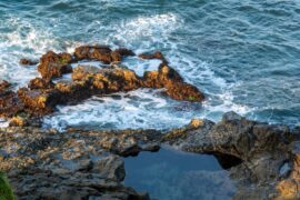 10 Beautiful Laguna Beach Tide Pools You Should Explore With Kids