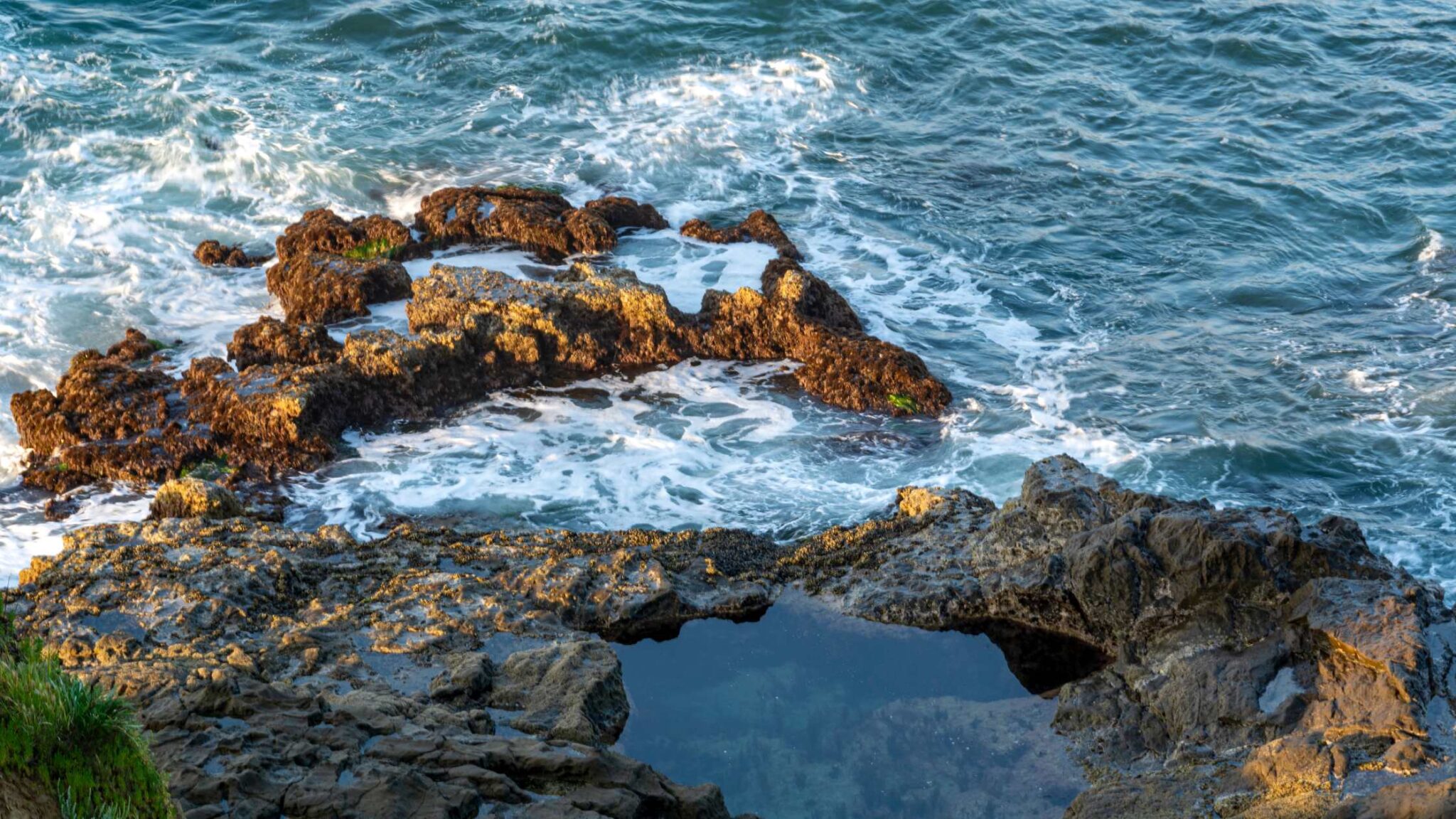 10 Beautiful Laguna Beach Tide Pools You Should Explore With Kids 10 Beautiful Laguna Beach Tide Pools You Should Explore With Kids