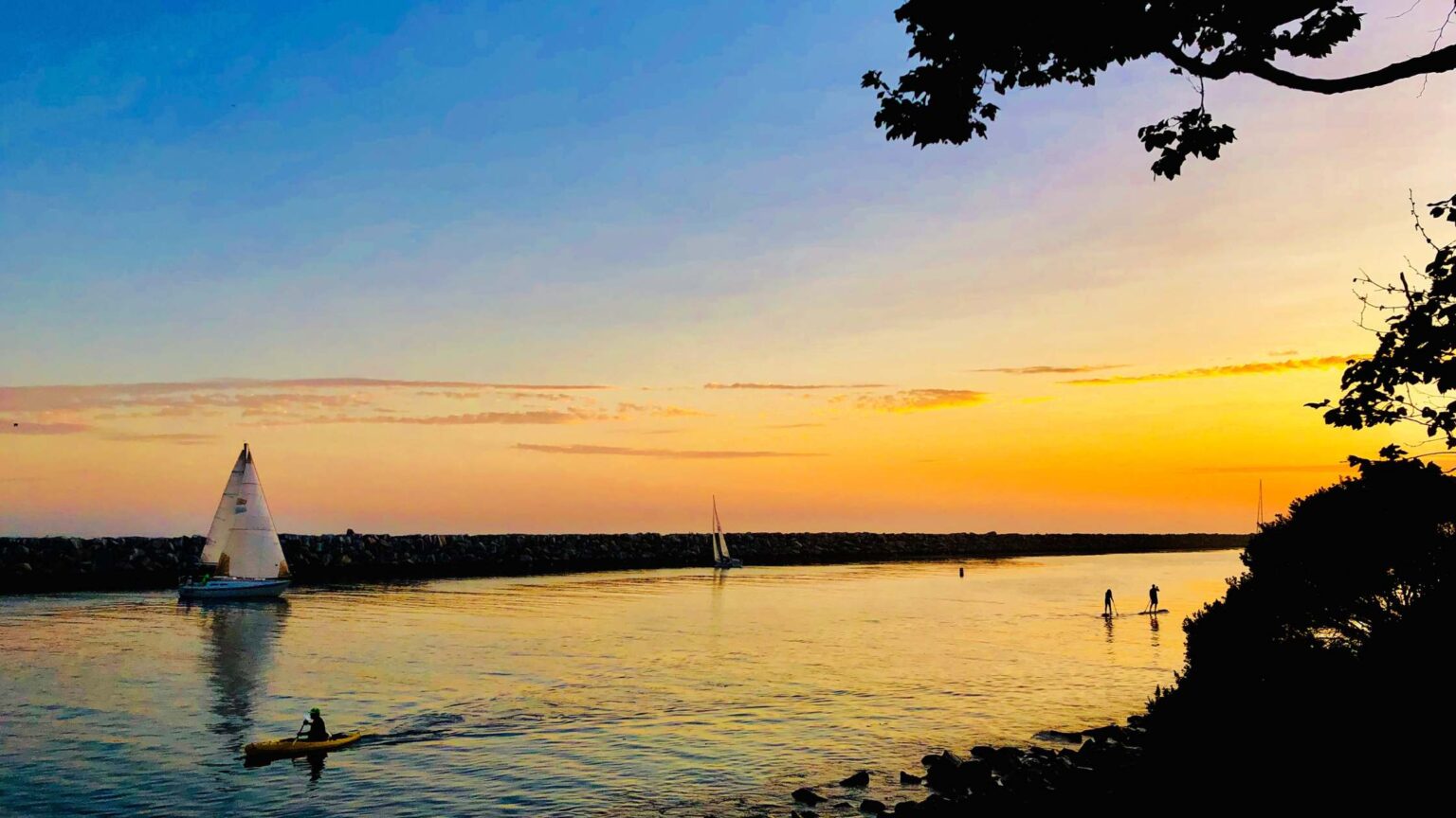 31 Best Things To Do In Dana Point For A Fun Weekend Getaway