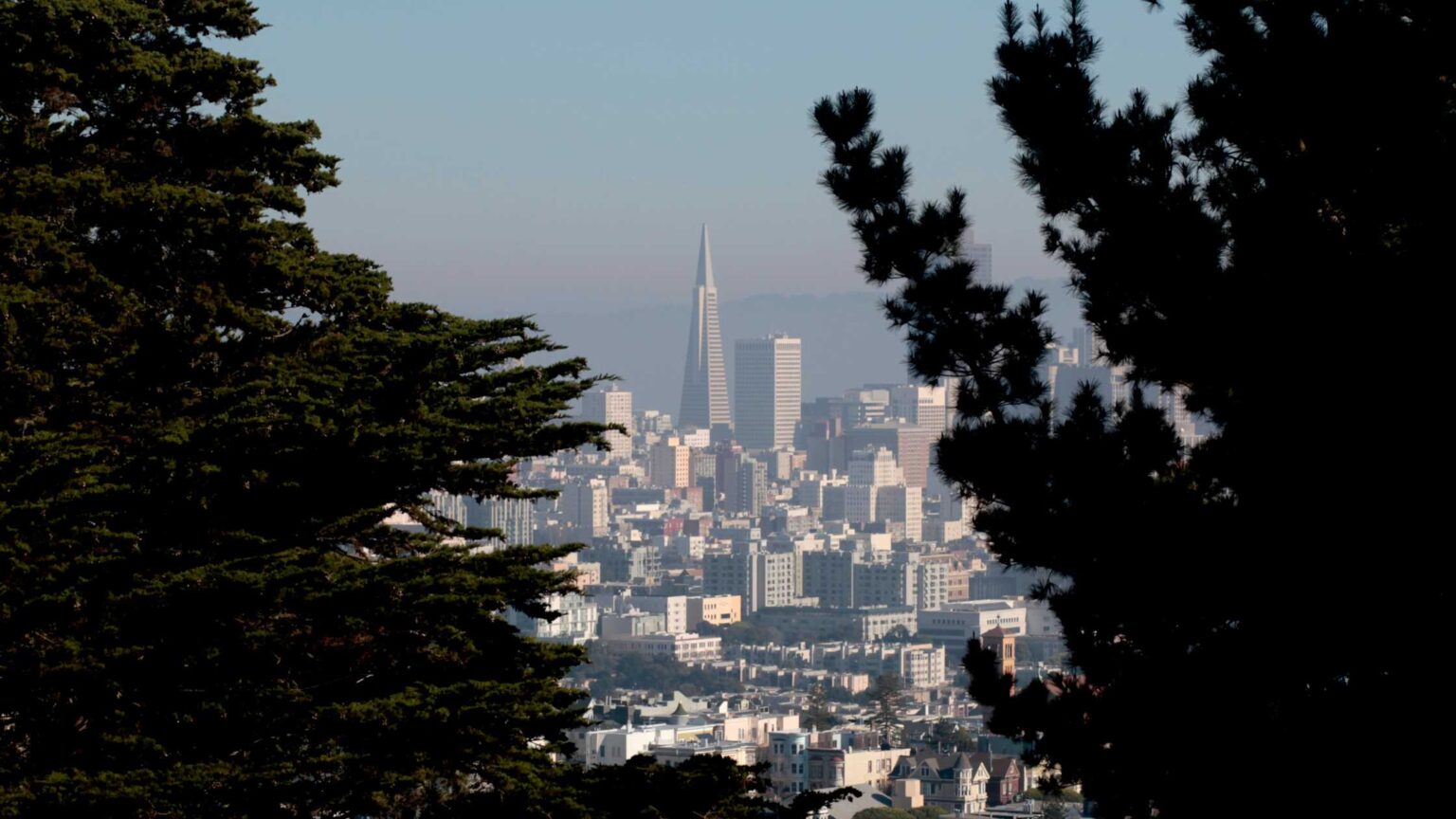 30 Spots To Enjoy The Best Views In San Francisco