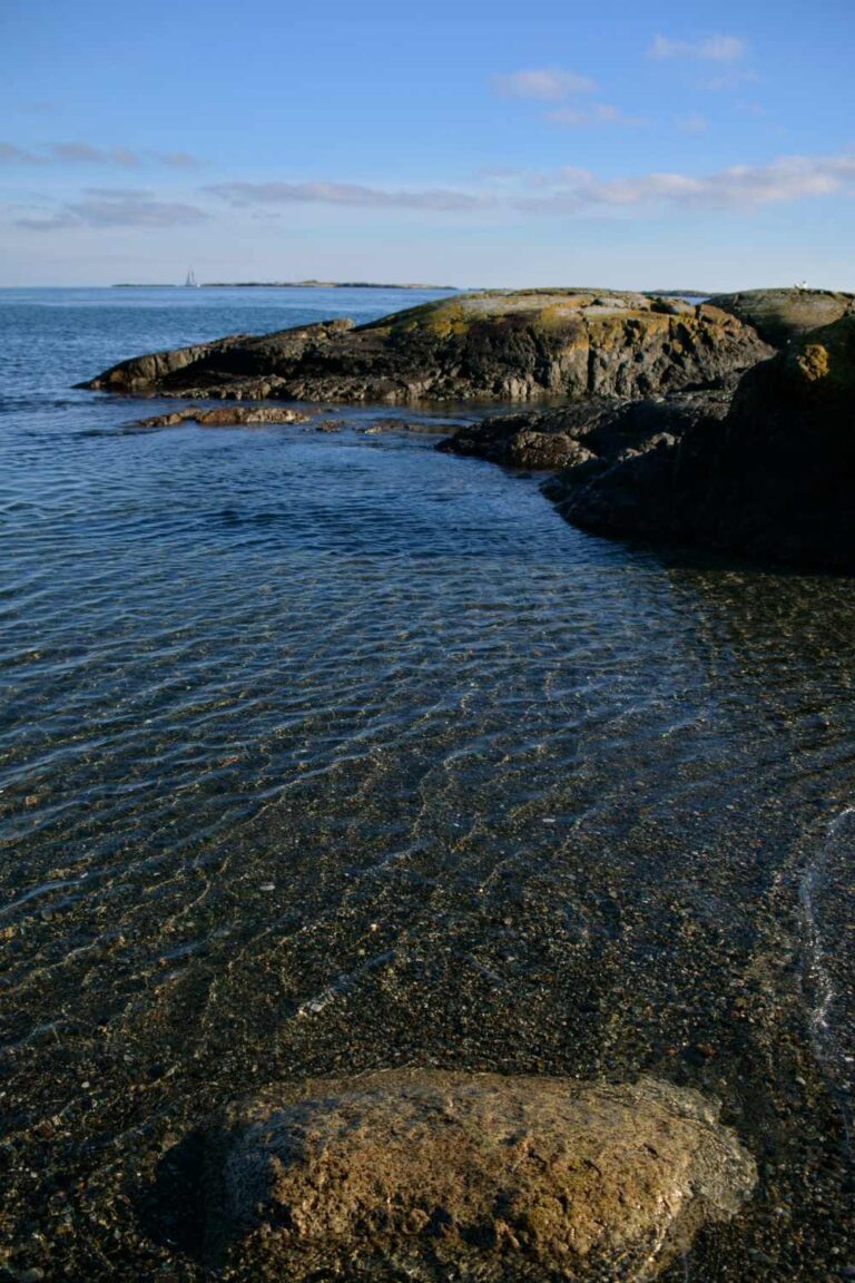 10 Best Tide Pools In Florida To Visit With Your Kids