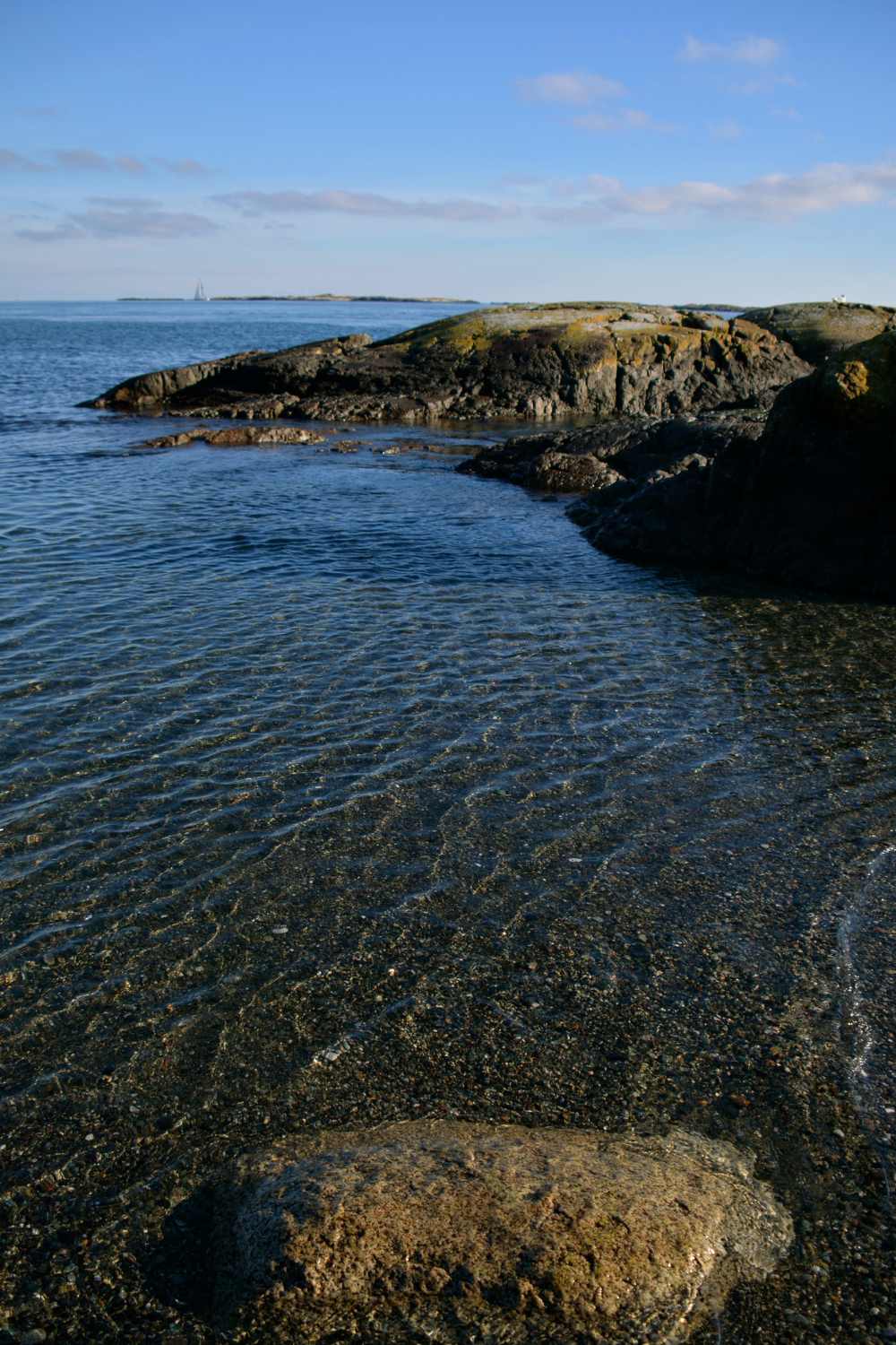 10 Best Tide Pools In Florida To Visit With Your Kids