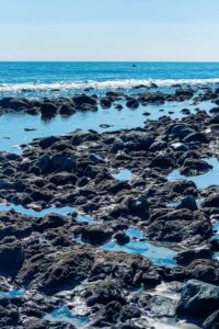 10 Best Tide Pools In Florida To Visit With Your Kids