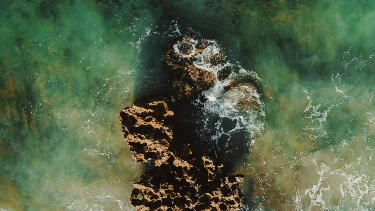 10 Best Tide Pools In Florida To Visit With Your Kids