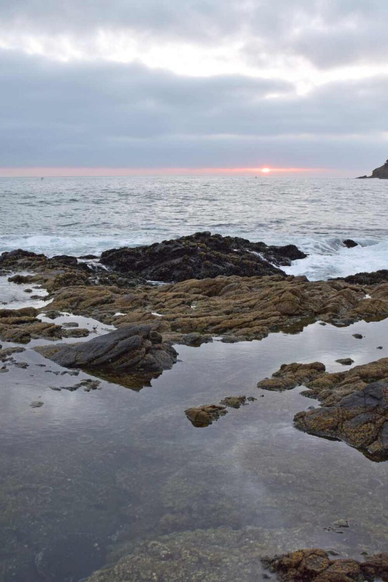 10 Best Tide Pools In Florida To Visit With Your Kids