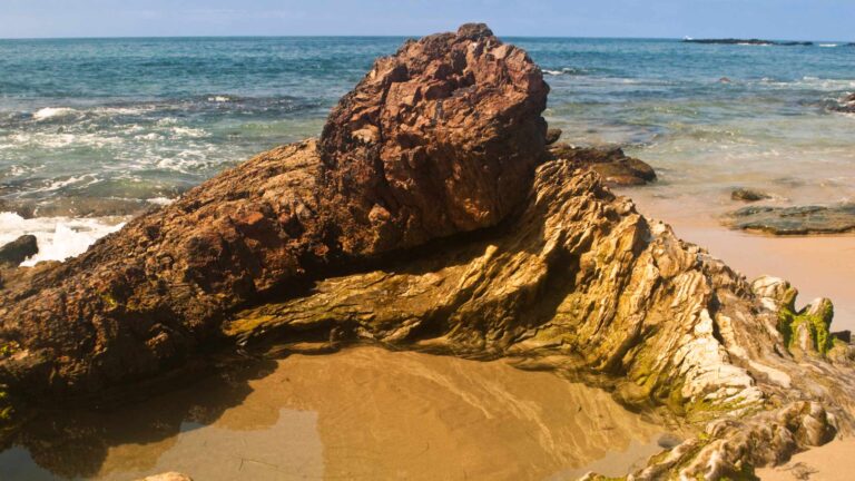 10 Best Tide Pools In Florida To Visit With Your Kids