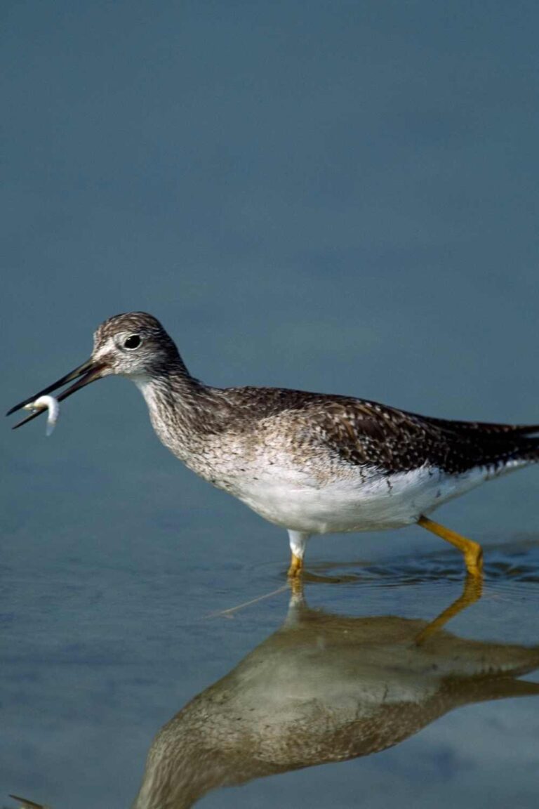 10 Best Tide Pools In Florida To Visit With Your Kids