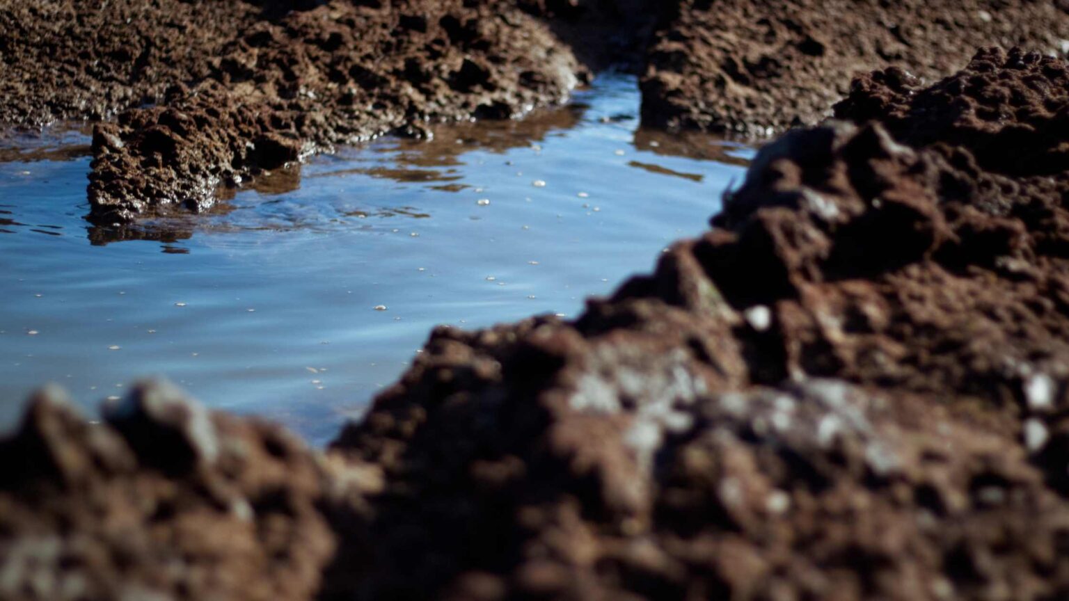 10 Best Tide Pools In Florida To Visit With Your Kids