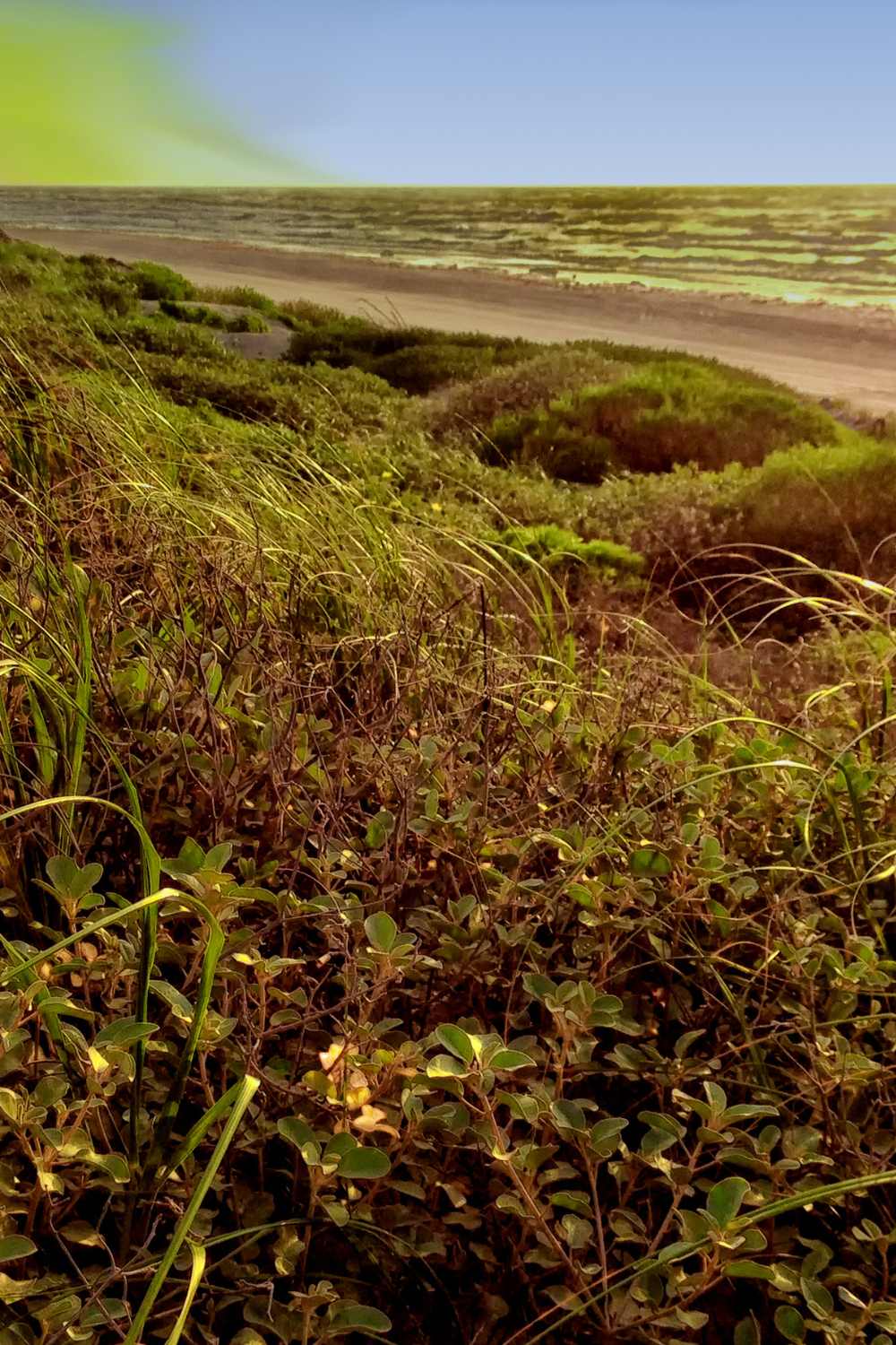 15 Prettiest White Sand Beaches In Texas For A Beach Holiday