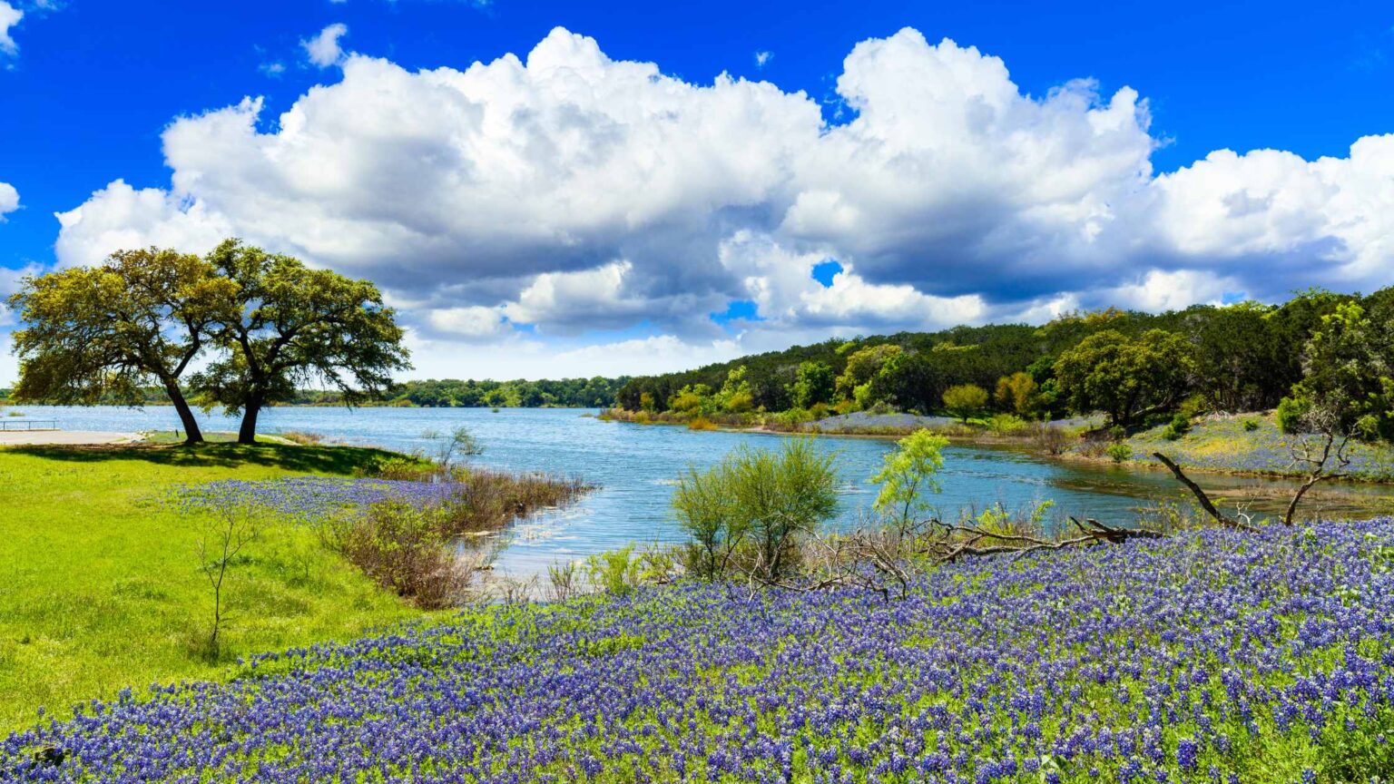 15 Places To Admire The Beautiful Blue Bonnets In Texas