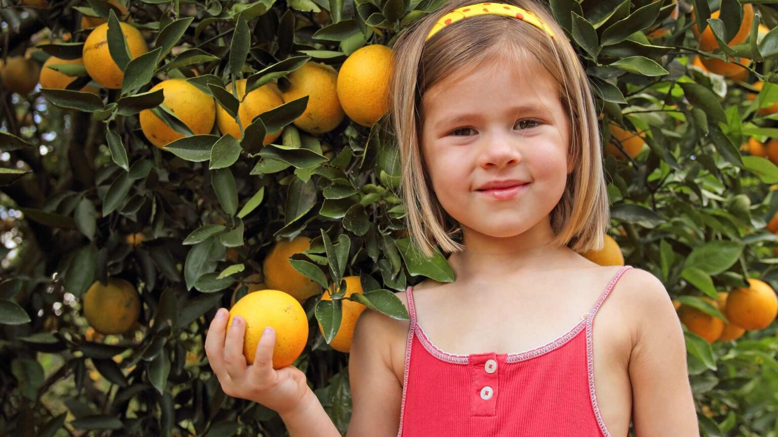 15 Best Places For Orange Picking In Florida