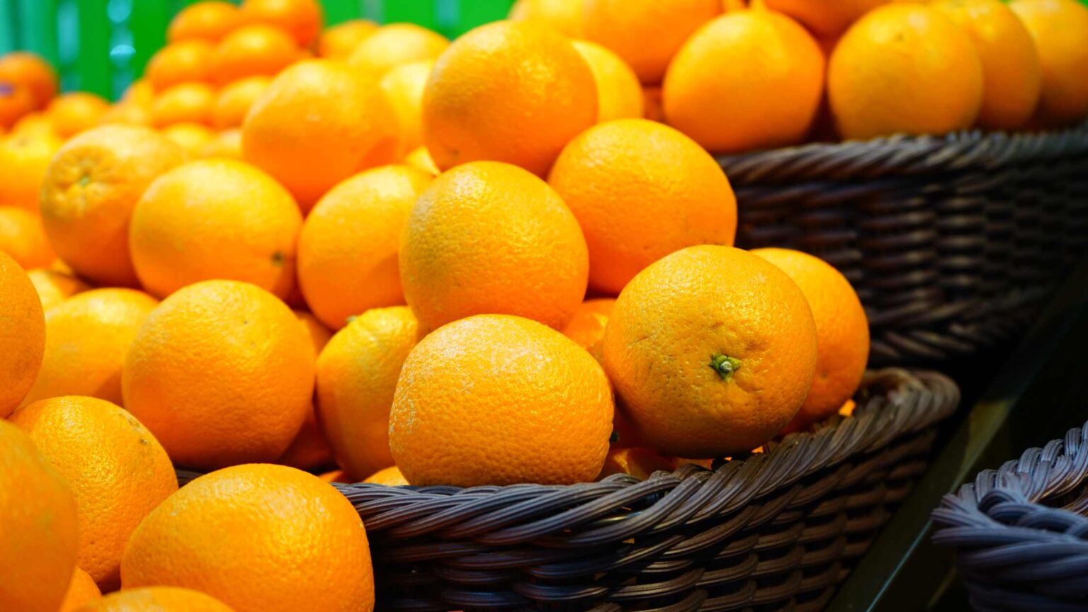 15 Best Places For Orange Picking In Florida