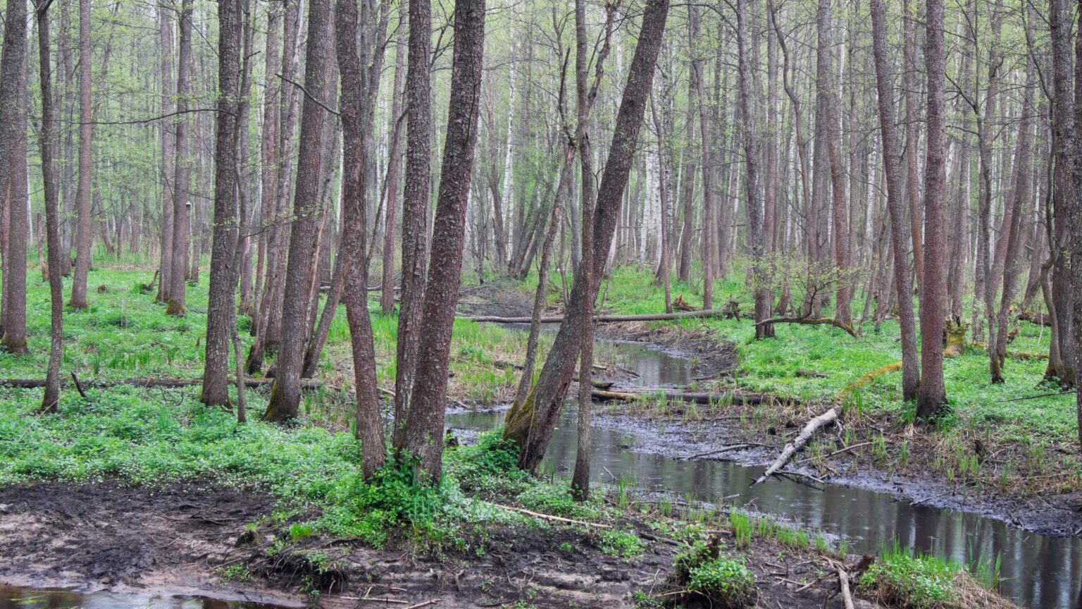 25 Beautiful Landmarks In Poland For Your Bucket List
