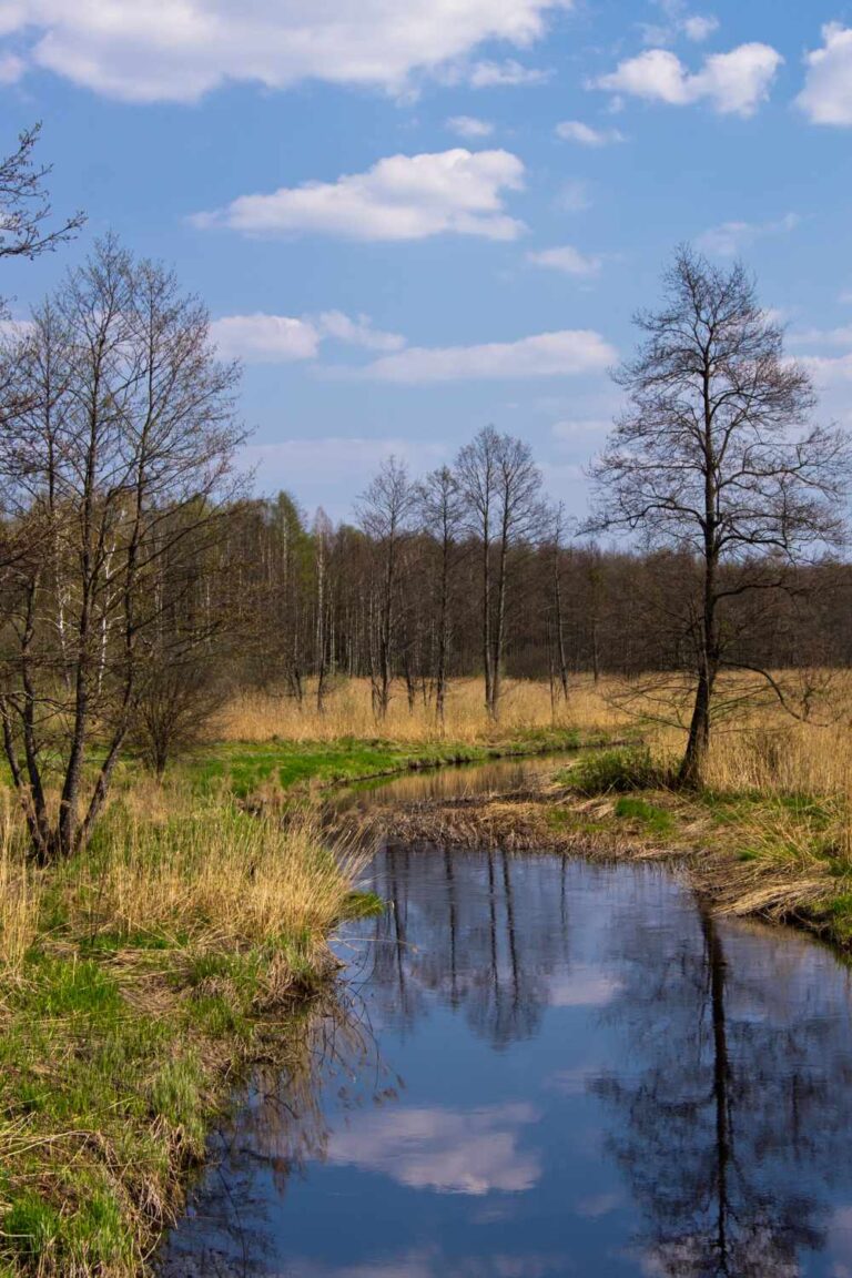 25 Beautiful Landmarks In Poland For Your Bucket List