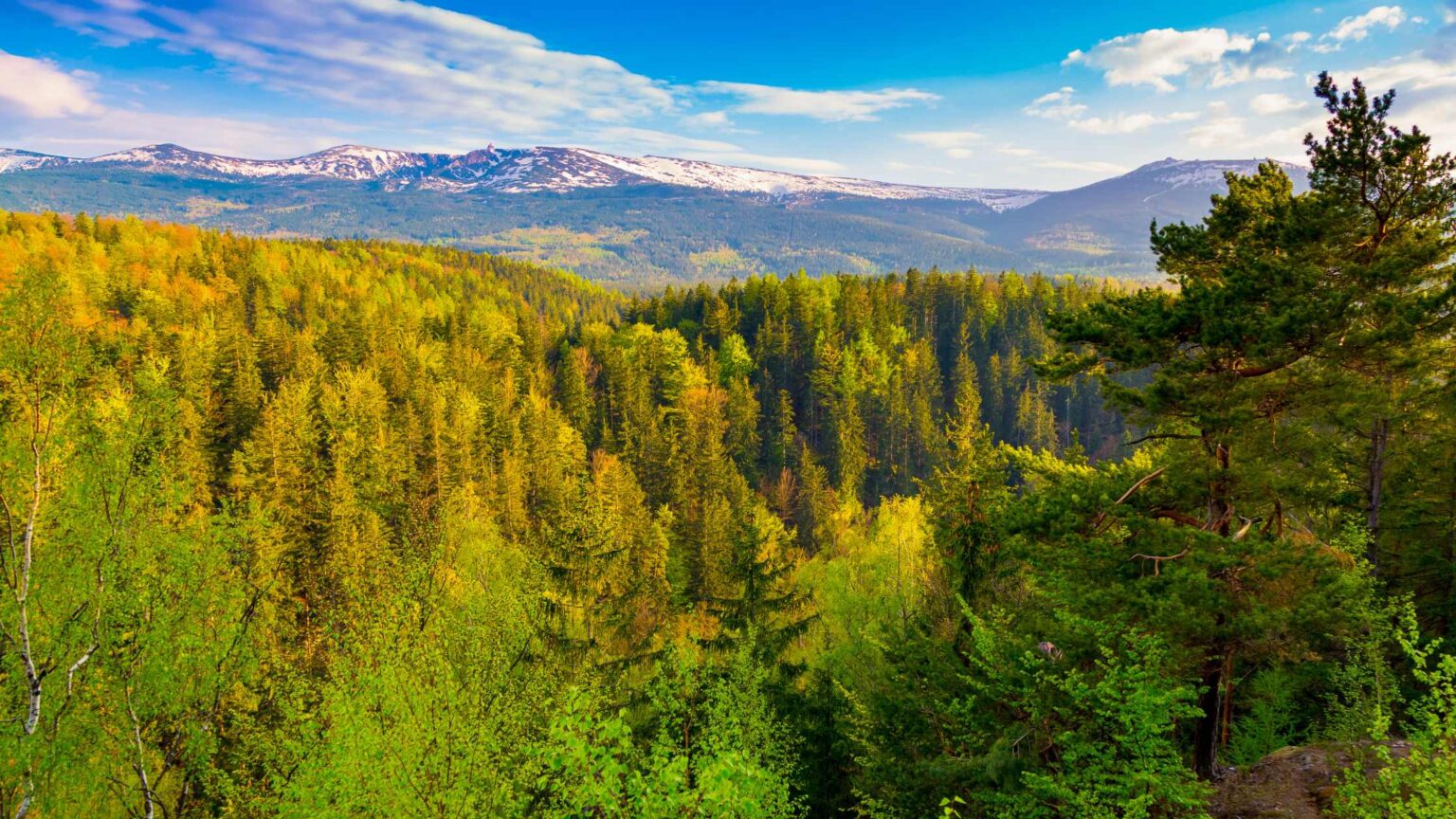 25 Beautiful Landmarks In Poland For Your Bucket List